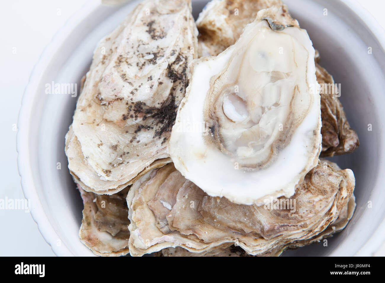 Oyster Shells In A White Bowl; Alaska, United States Of America Stock ...