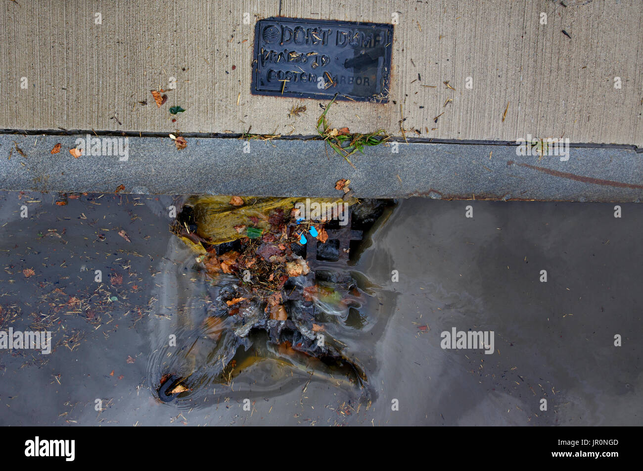 Water sewer drain after a storm Boston Massachusetts Stock Photo - Alamy