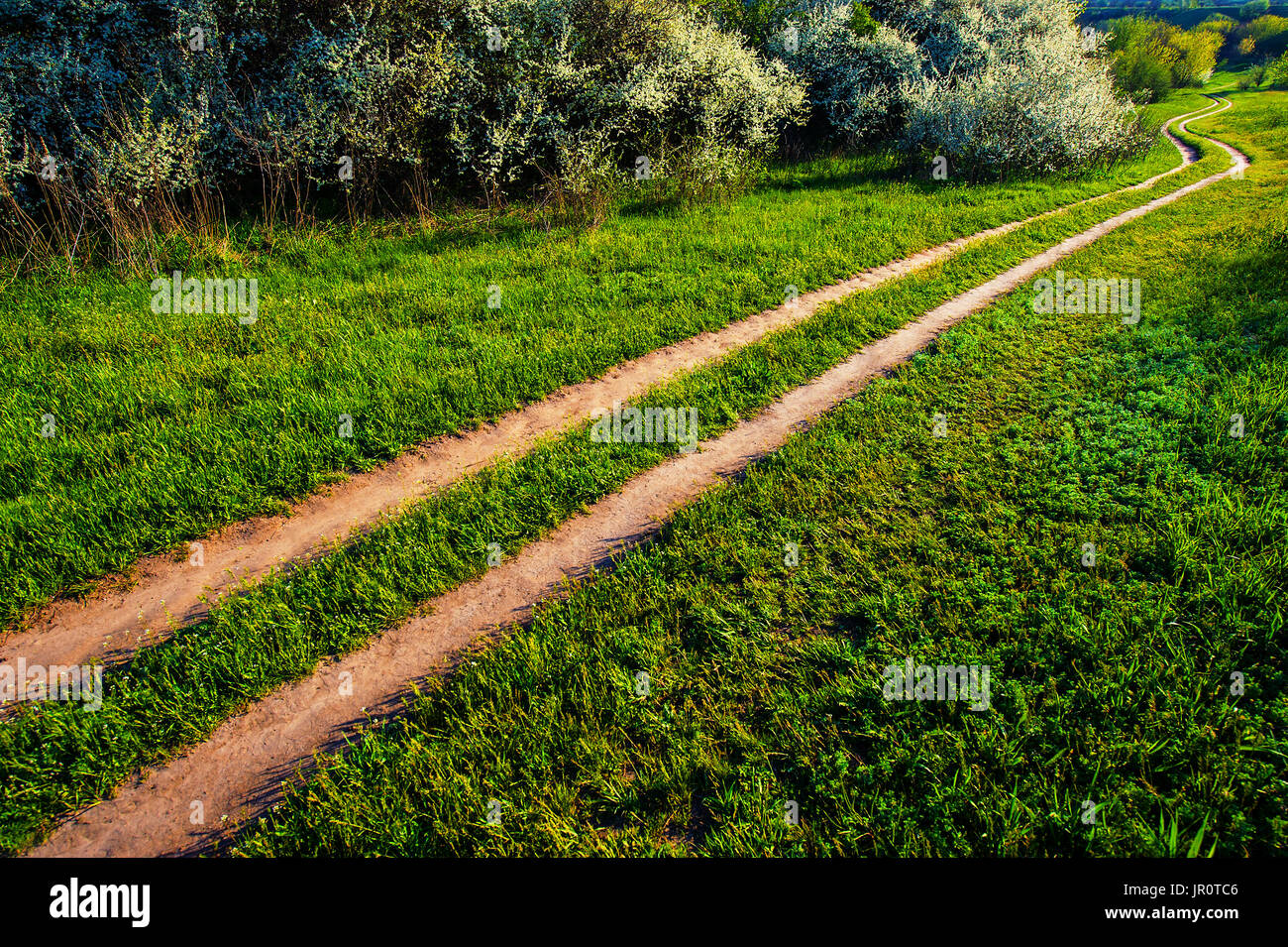 Dirt road in the countryside spring landscape Stock Photo - Alamy