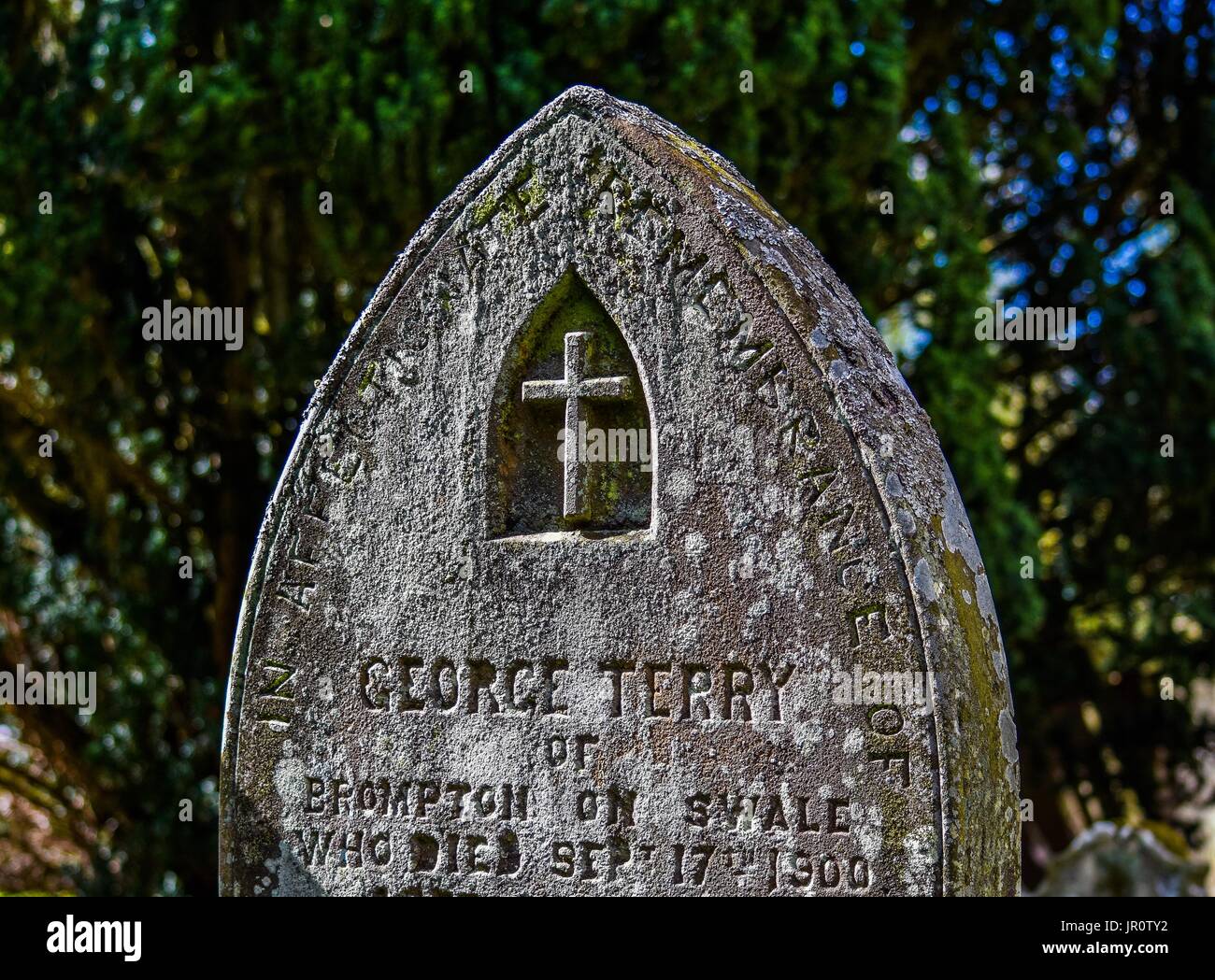 Terry stone hi-res stock photography and images - Alamy