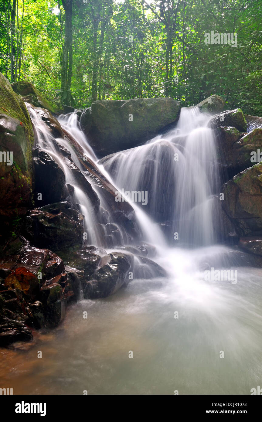 City park kota kinabalu sabah hi-res stock photography and images - Alamy