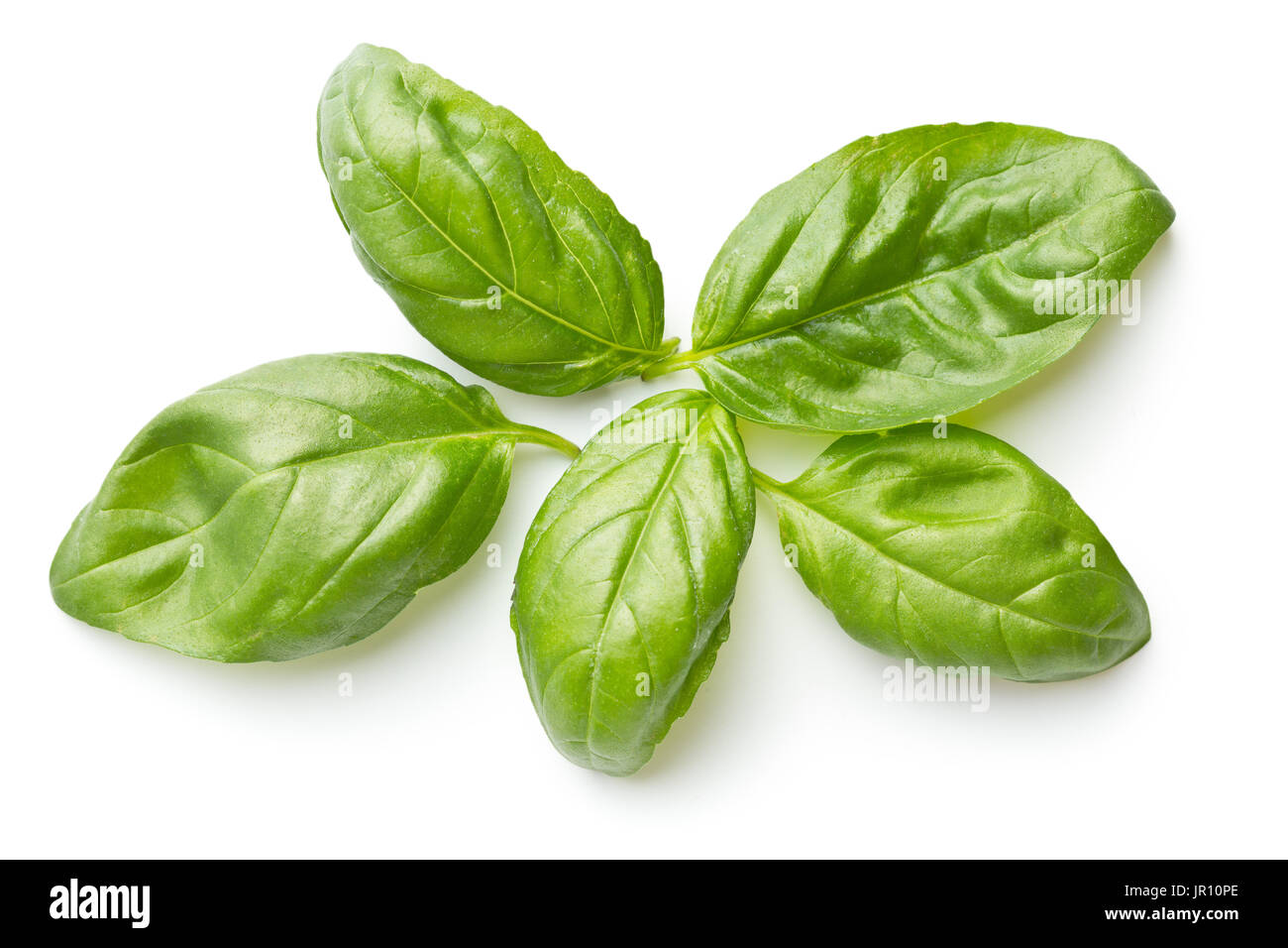 Green basil leaves isolated on white background. Top view Stock Photo ...