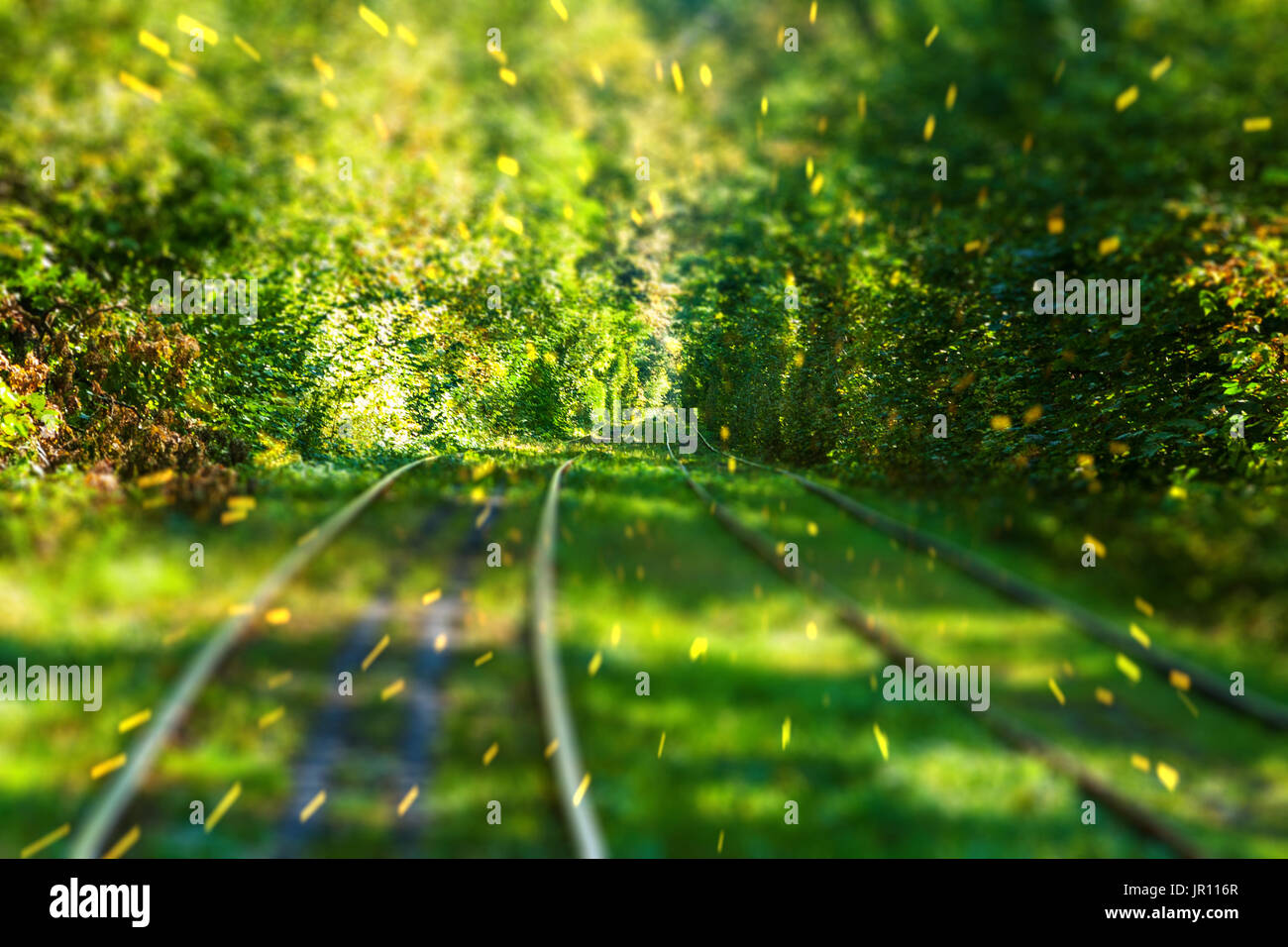 magic autumn forest and tram path, tilt-shift effected photo with ...