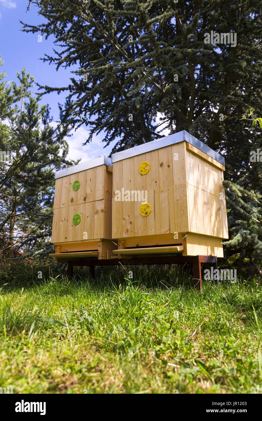 Wooden hive hi-res stock photography and images - Alamy