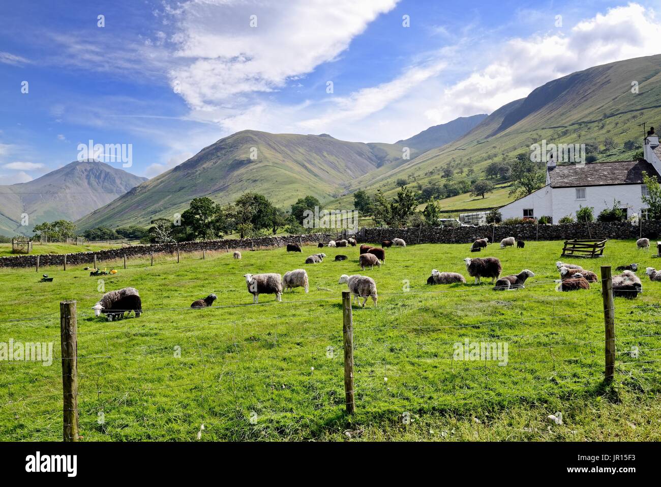 Remote Hill Farm High Resolution Stock Photography and Images - Alamy