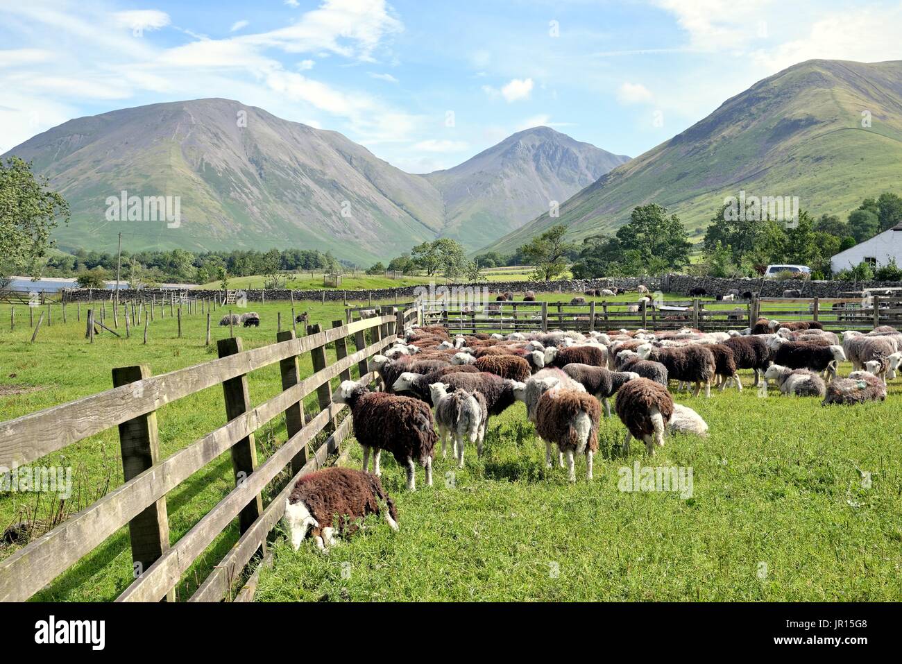 Remote Hill Farm High Resolution Stock Photography and Images - Alamy