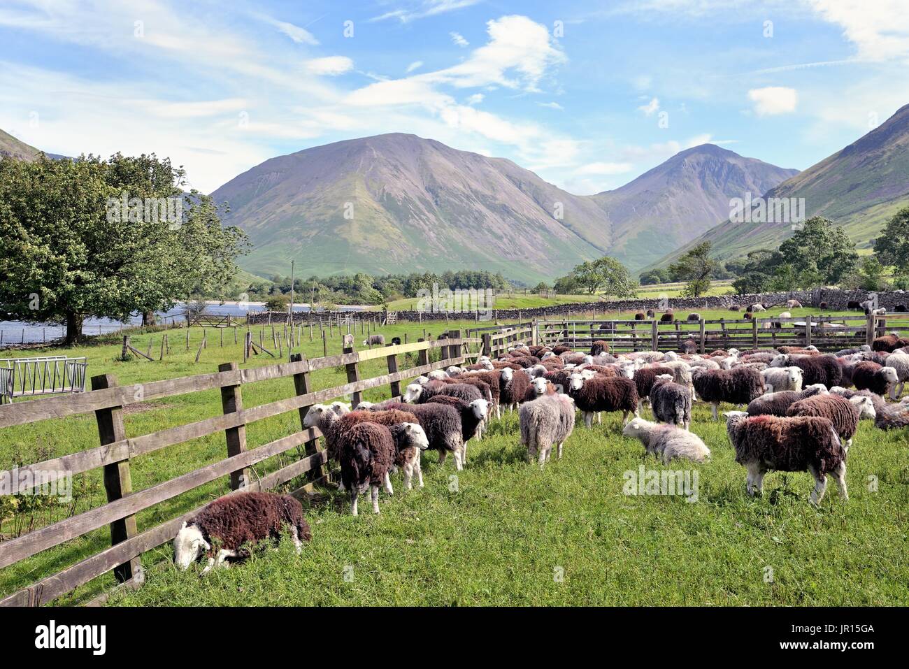 Remote Hill Farm High Resolution Stock Photography and Images - Alamy