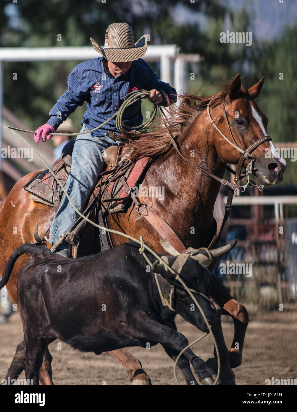 Rodeo action at the Scott Valley Pleasure Park Rodeo in Etna ...