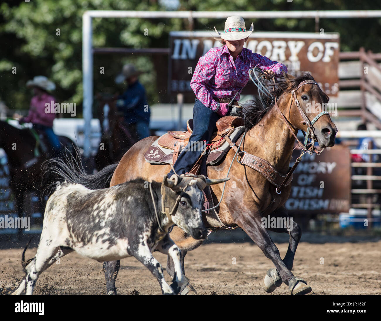Rodeo action at the Scott Valley Pleasure Park Rodeo in Etna ...