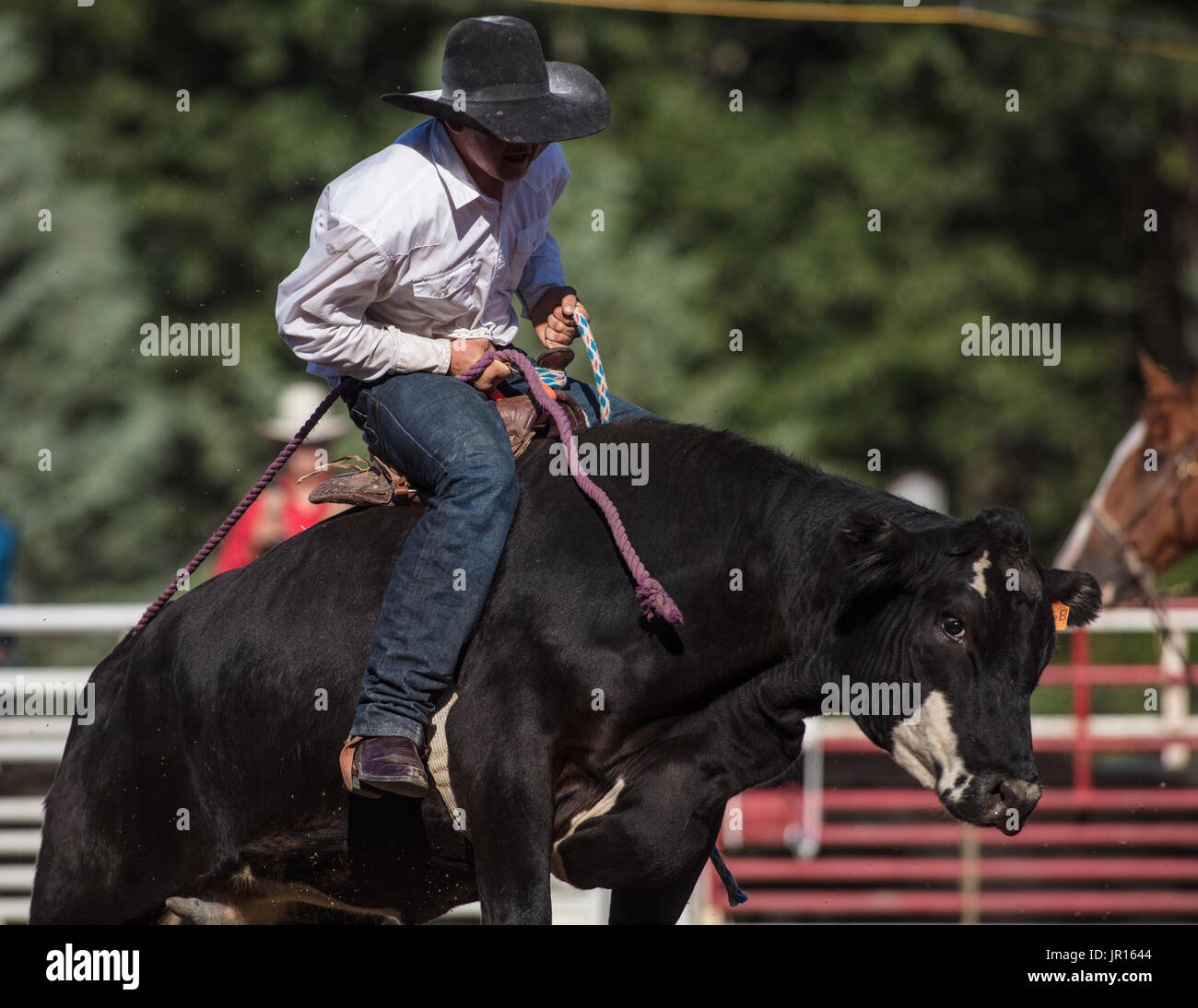 Rodeo action at the Scott Valley Pleasure Park Rodeo in Etna ...