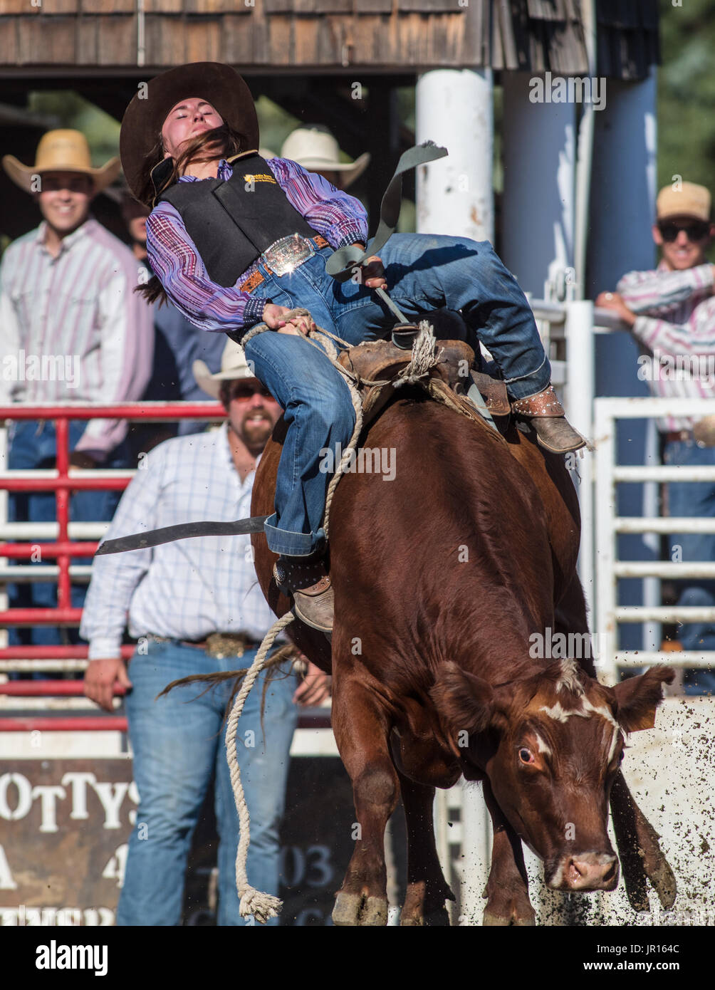 Rodeo action at the Scott Valley Pleasure Park Rodeo in Etna ...