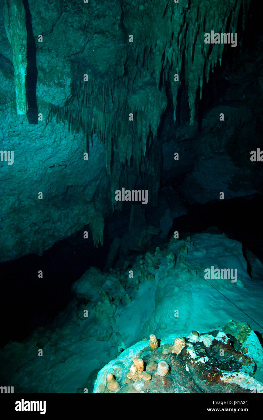 Cave Diving in a Yucatan Cenote, Mexico Stock Photo - Alamy