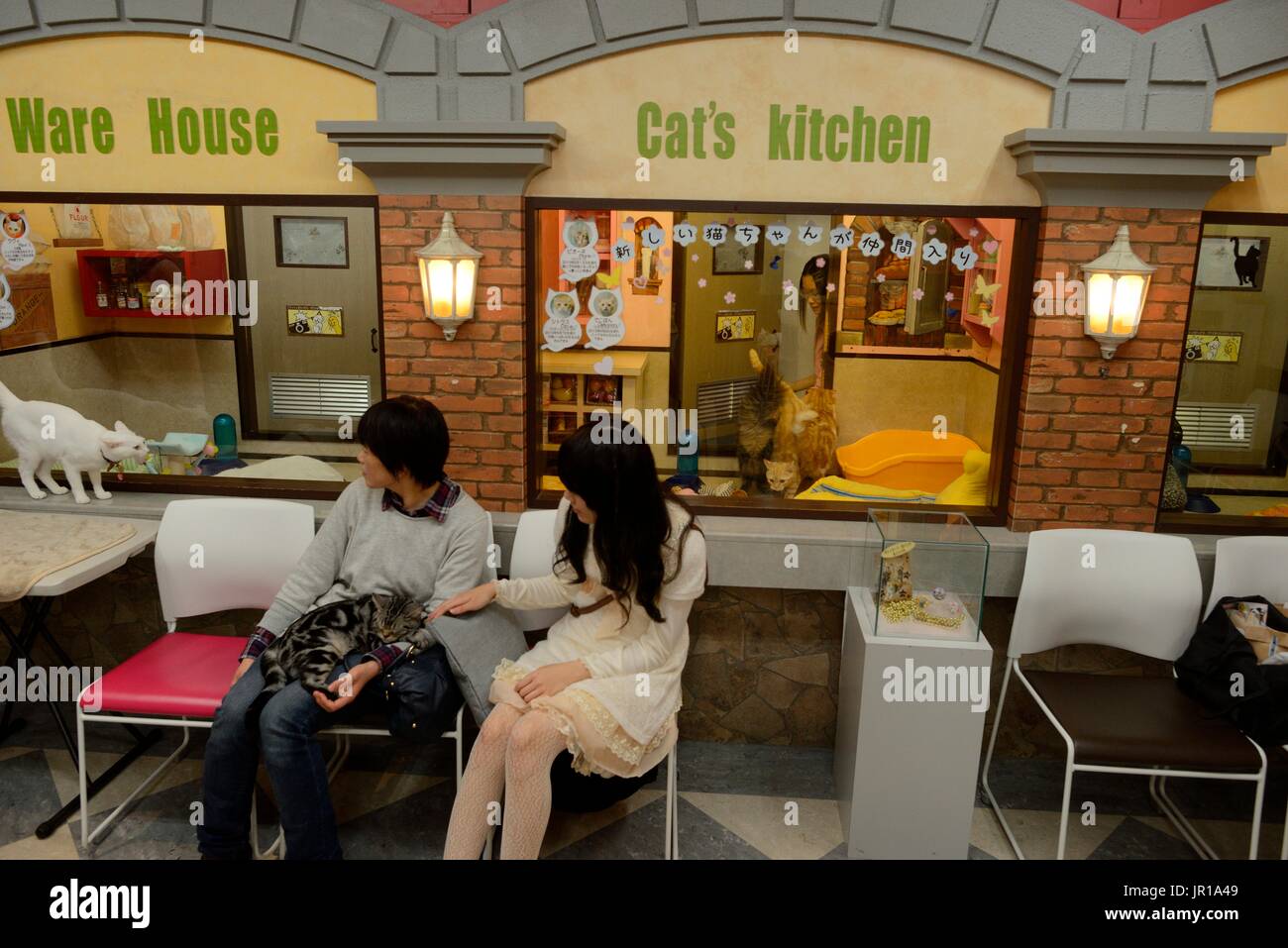 Neko cafe, Ikebukuro, Tokyo, Japan Stock Photo - Alamy