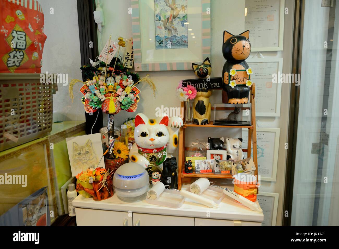 Neko cafe, Ueno, Tokyo, Japan Stock Photo - Alamy