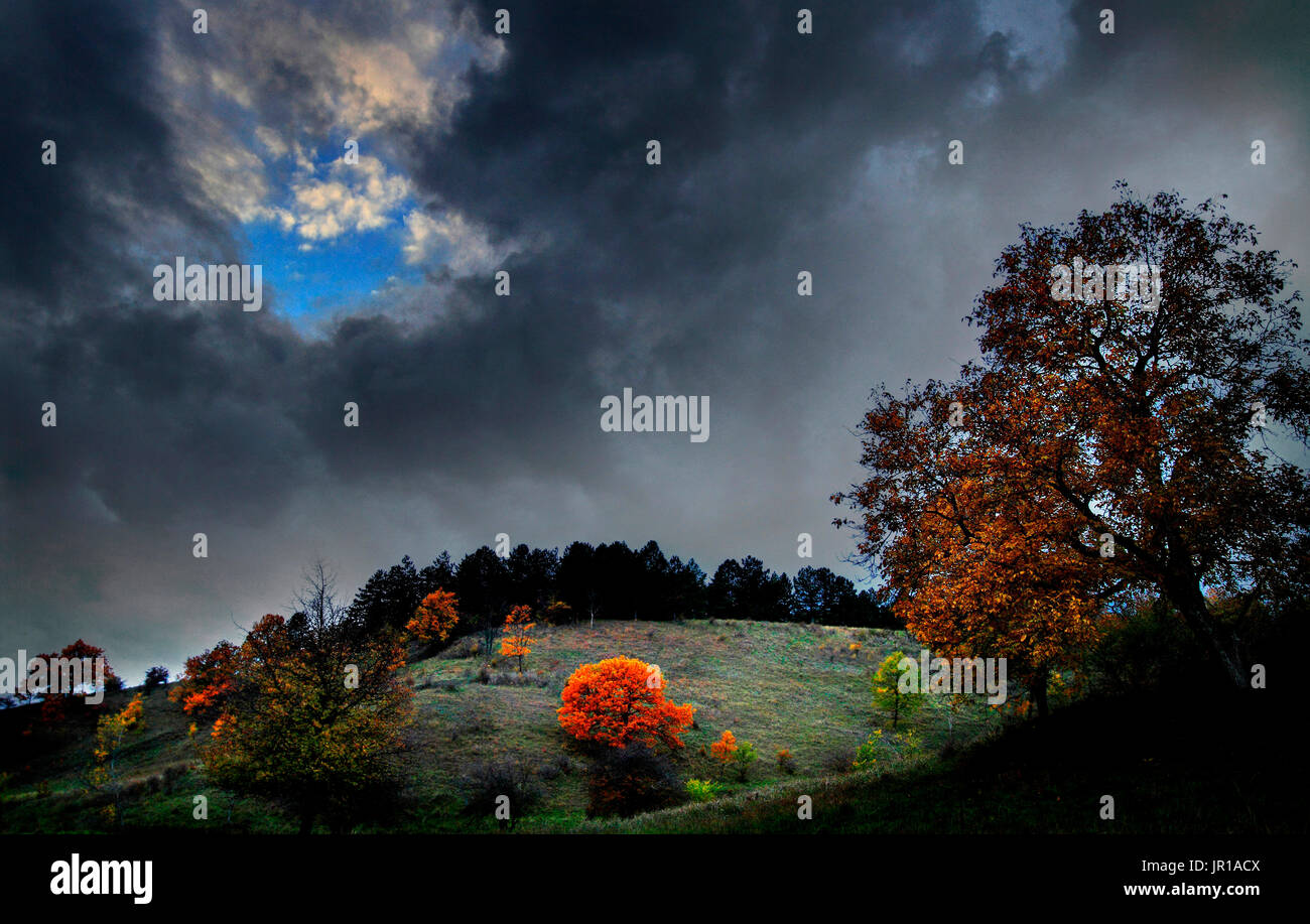 Autumn landscape in Southern Hungary Stock Photo - Alamy