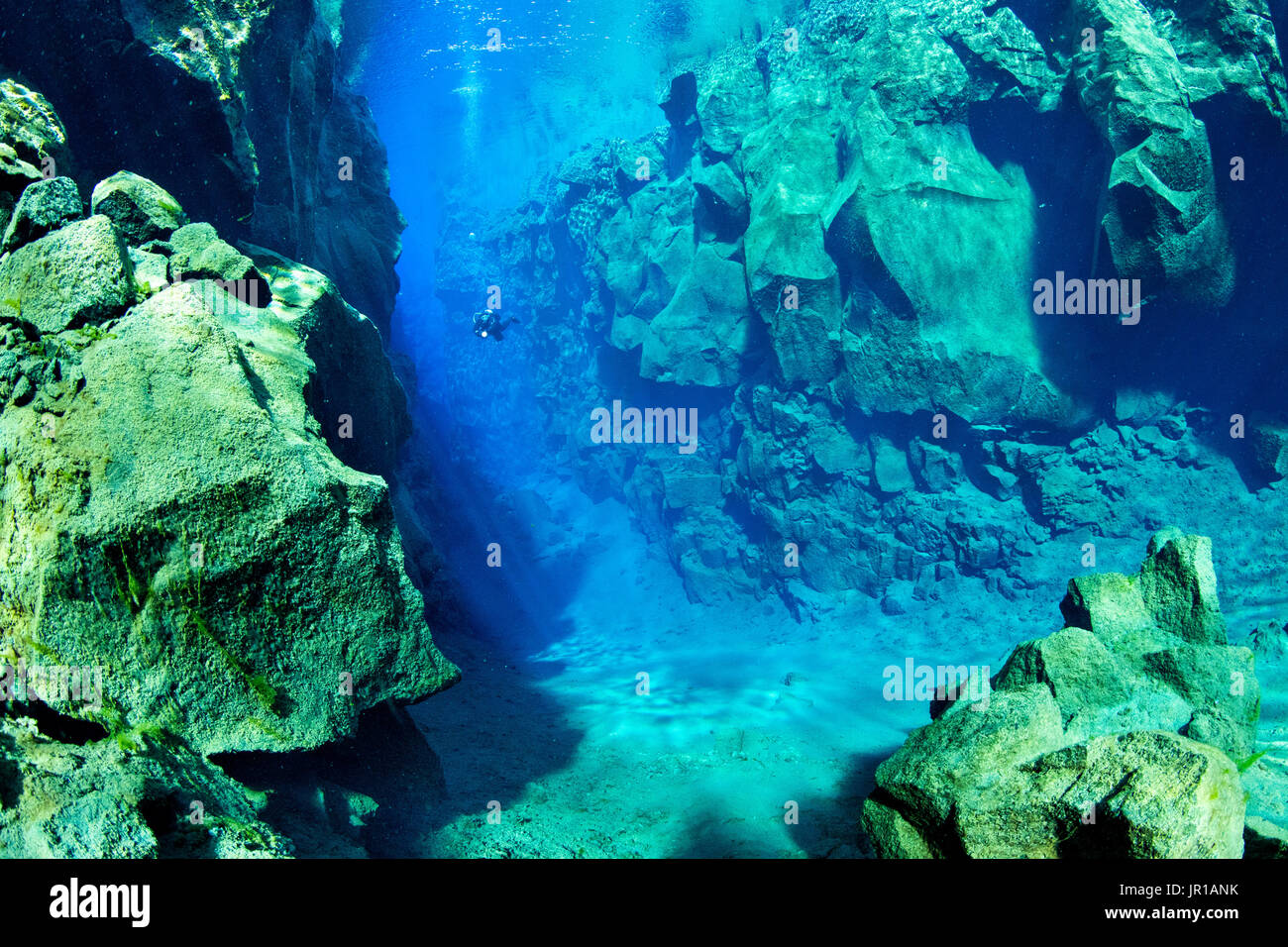 Diver explores the cathedral at Silfra Canyon, deep fault filled with ...