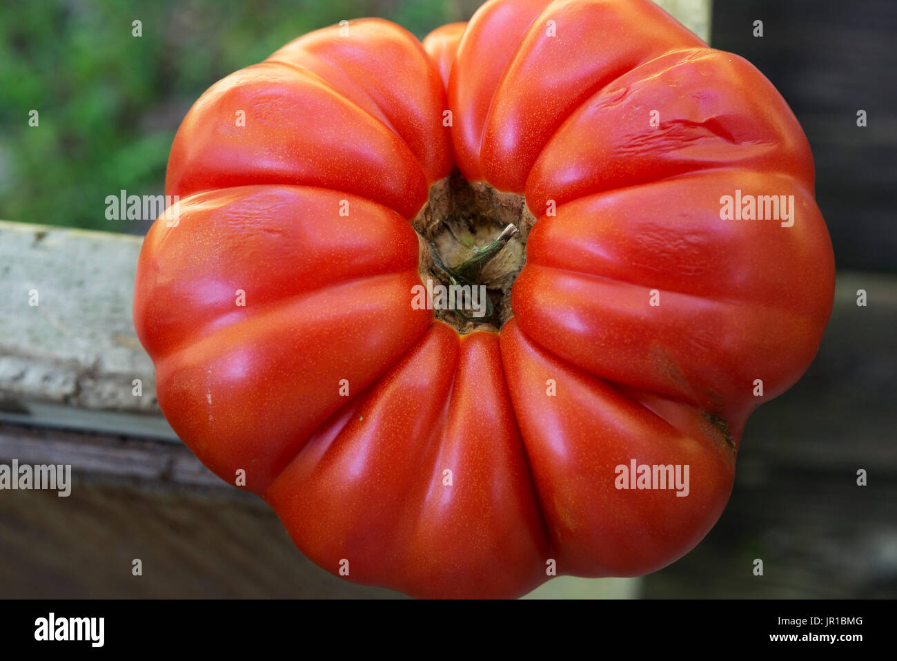 Open pollinated variety hi-res stock photography and images - Alamy