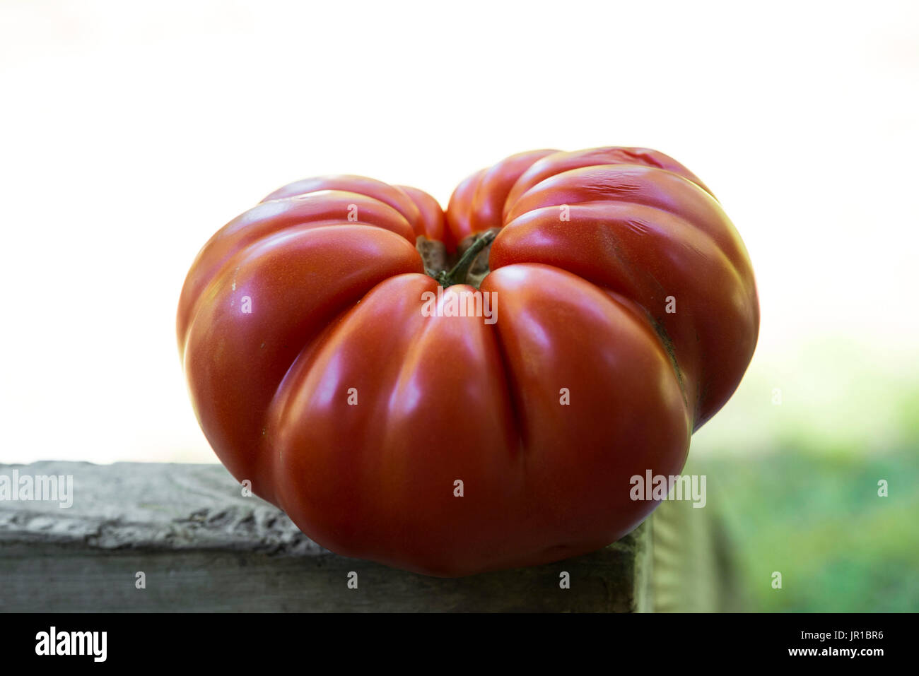 Old tomato variety hi-res stock photography and images - Alamy