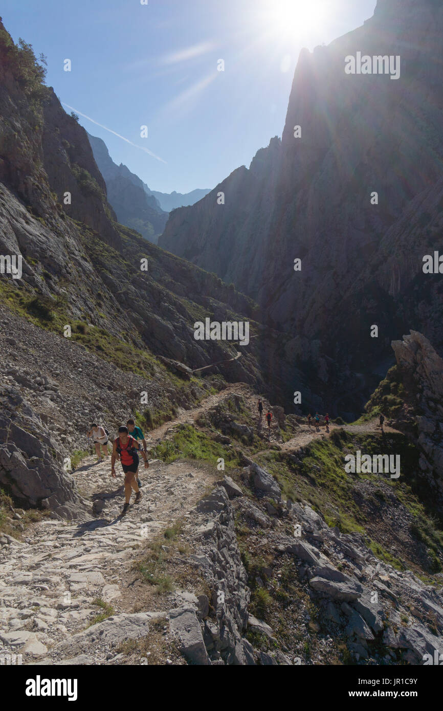 The cares gorge, Garganta del Cares, is famous for its walking route ...