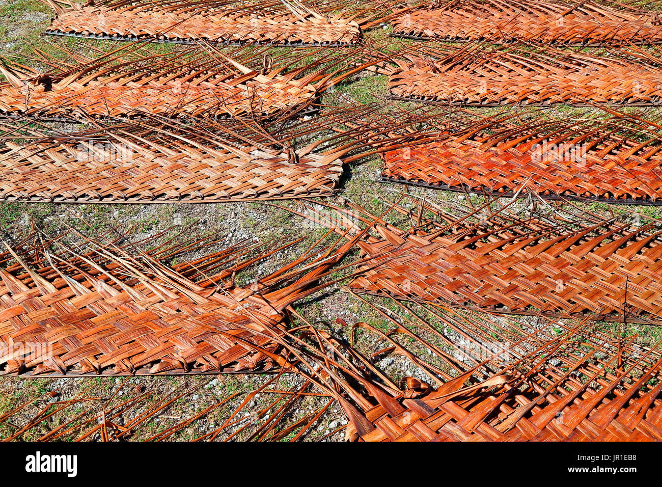 Drying of braided coconut leaves intended to cover the traditional ...