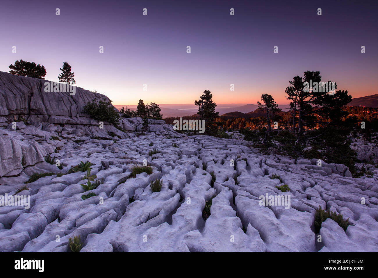 Karstic landscape, Parmelan limestone pavement. France, Haute-Savoie ...