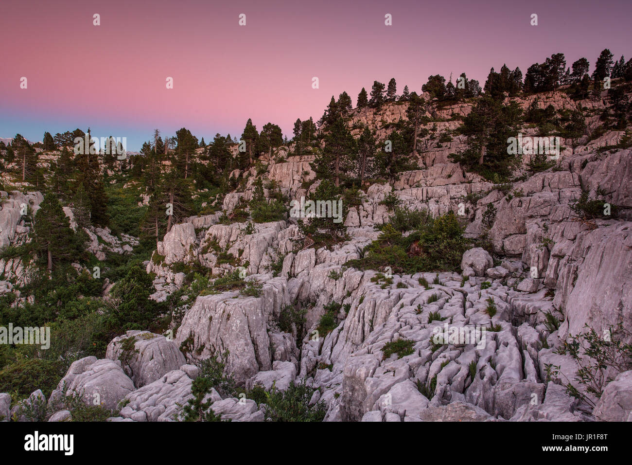 Karstic landscape, Parmelan limestone pavement. France, Haute-Savoie ...