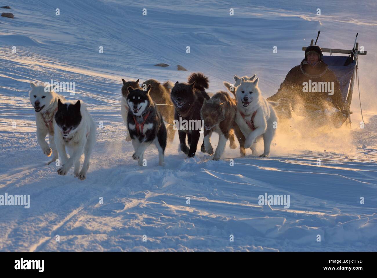 Man Men Eskimo Inuit Greenland High Resolution Stock Photography and ...