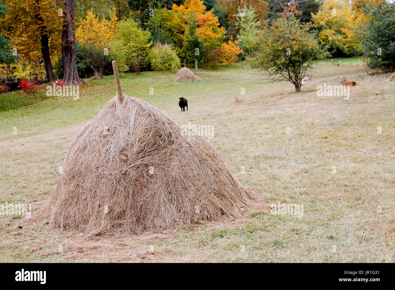 Old-style haystack in the park of Madame Elisabeth domain in Versailles ...