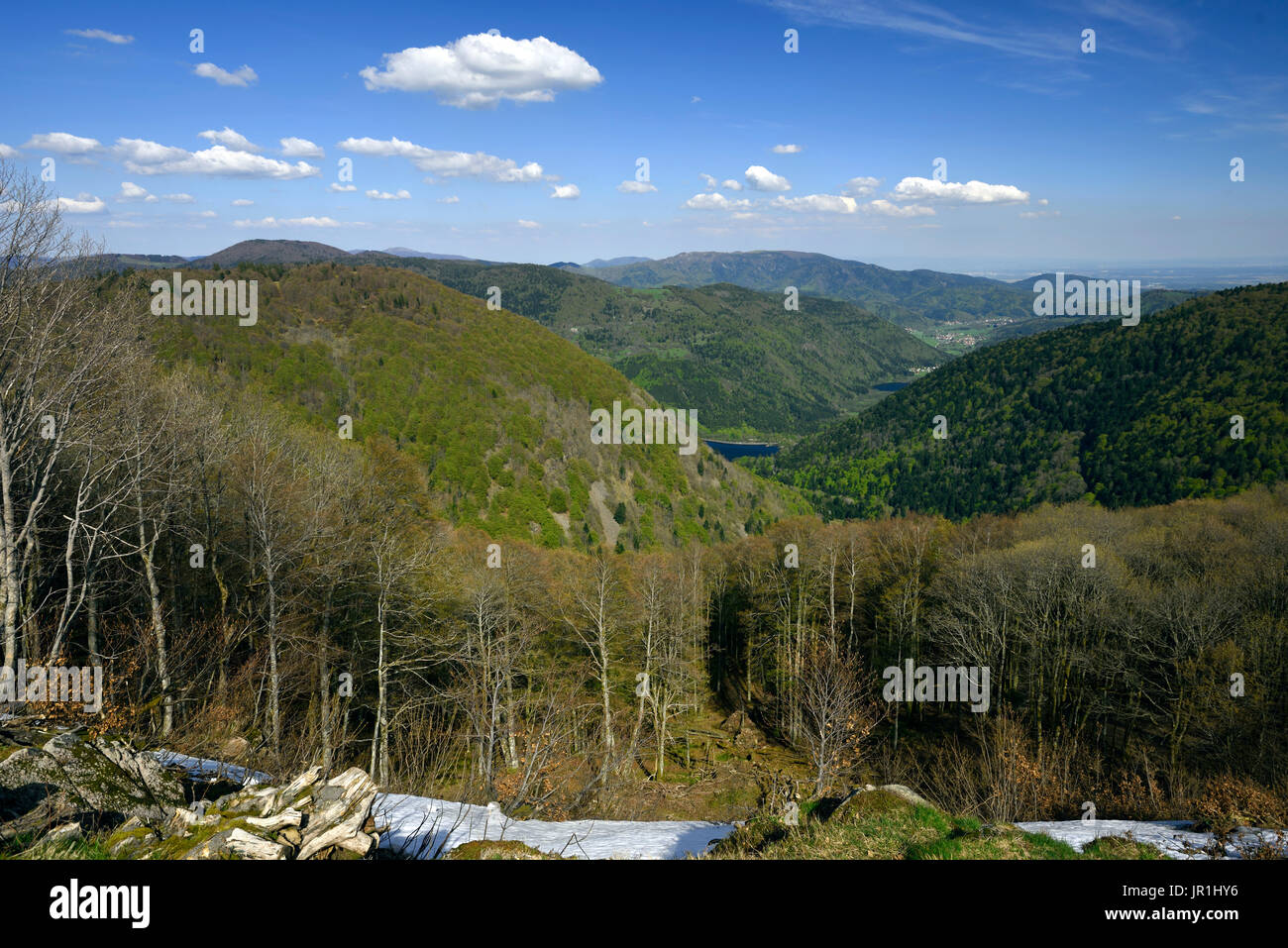 Summit, view of the Doller valley, the lakes of Alfeld and Sewen, the ...