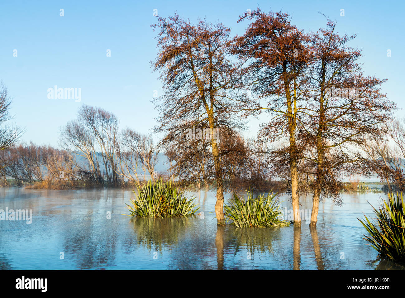 Loop fill hi-res stock photography and images - Alamy