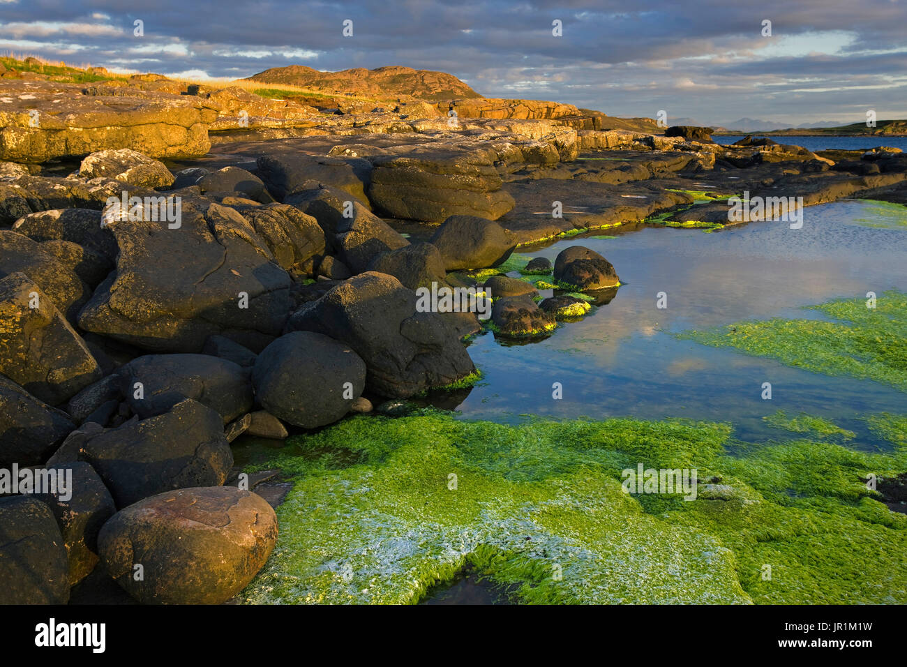 Rocky shore, Altandhu, Highlands, Scotland Stock Photo - Alamy