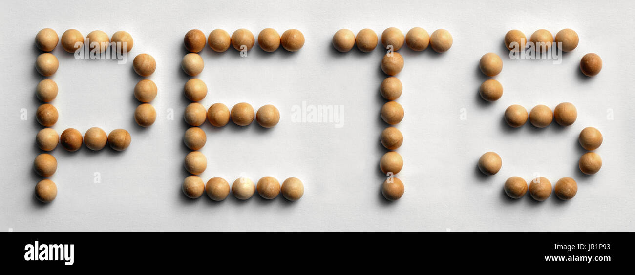 Photograph of the word "Pets" spelled out with wood push pins Stock ...