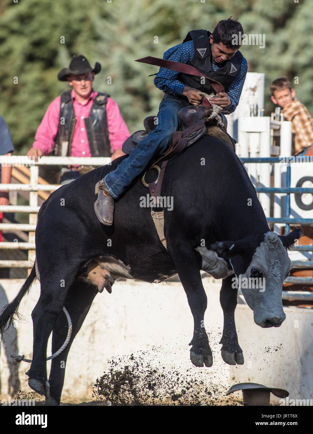 Teen riding horse in rodeo hi-res stock photography and images - Alamy