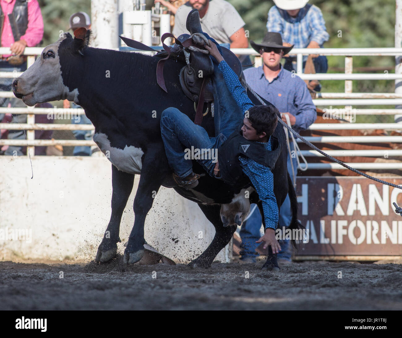Rodeo action at the Scott Valley Pleasure Park Rodeo in Etna ...