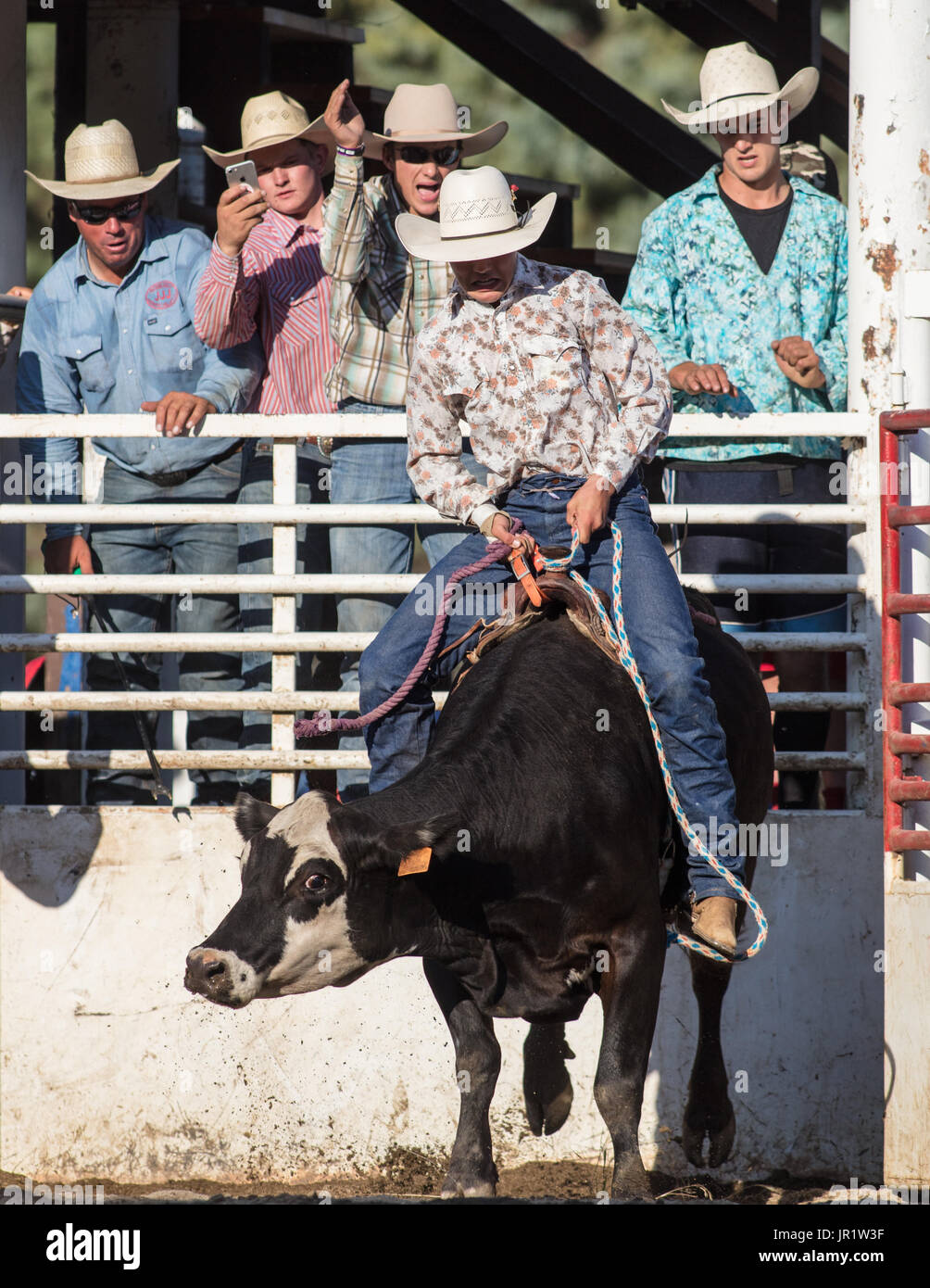 Rodeo action at the Scott Valley Pleasure Park Rodeo in Etna ...