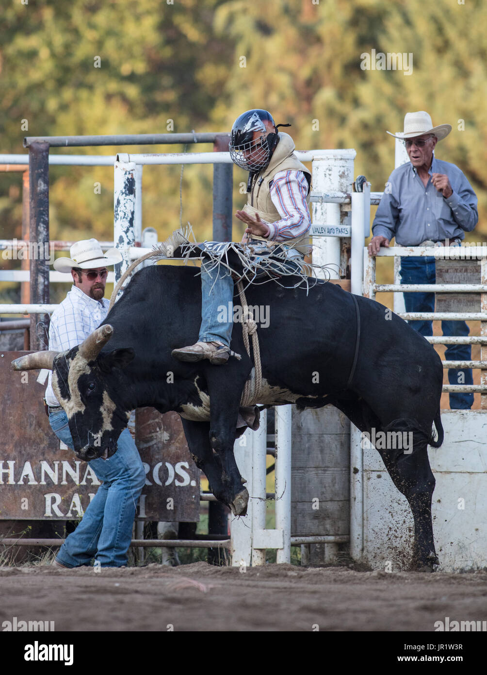 Scott valley pleasure park rodeo hi-res stock photography and images ...