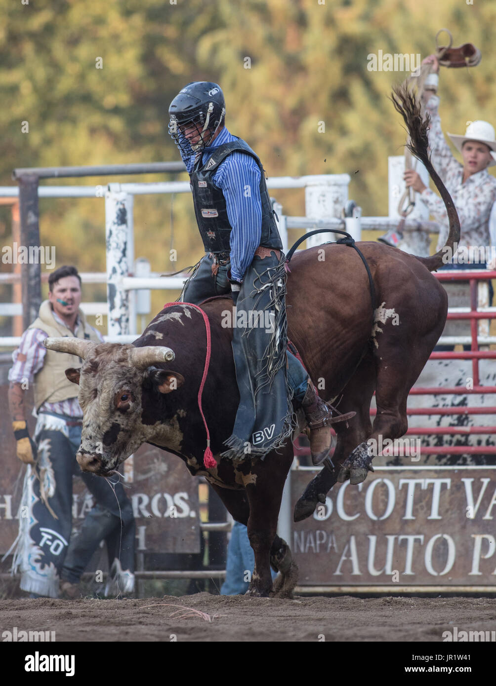 Rodeo action at the Scott Valley Pleasure Park Rodeo in Etna ...
