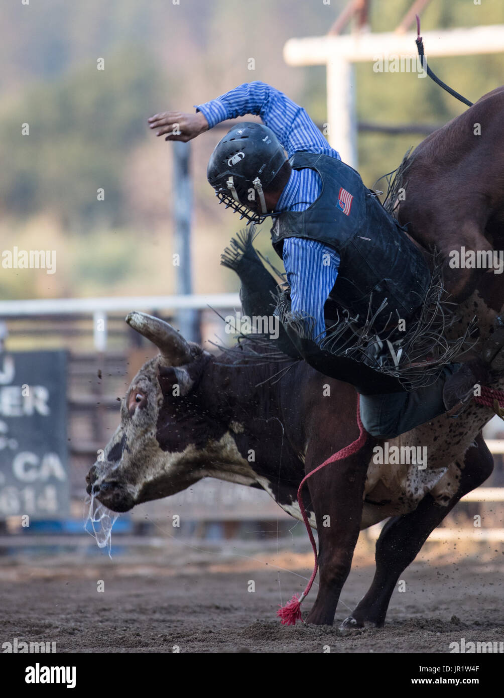 Rodeo action at the Scott Valley Pleasure Park Rodeo in Etna ...