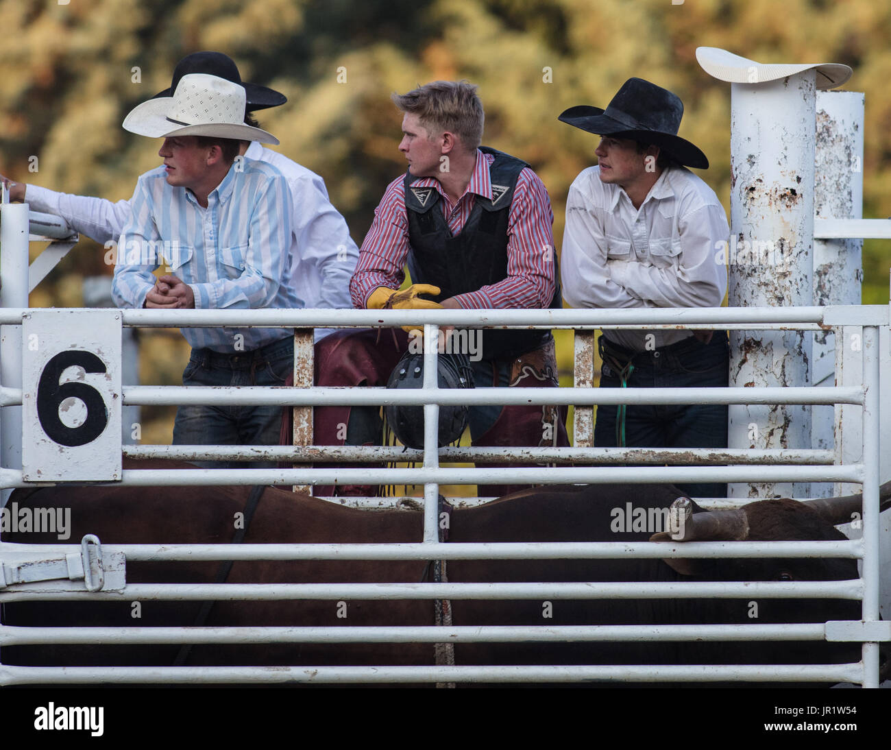Rodeo action at the Scott Valley Pleasure Park Rodeo in Etna ...
