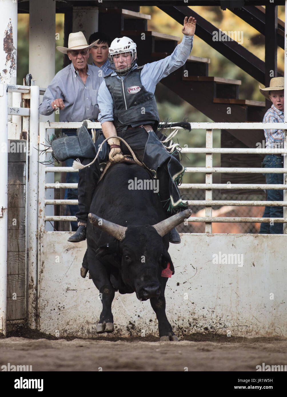 Rodeo action at the Scott Valley Pleasure Park Rodeo in Etna ...