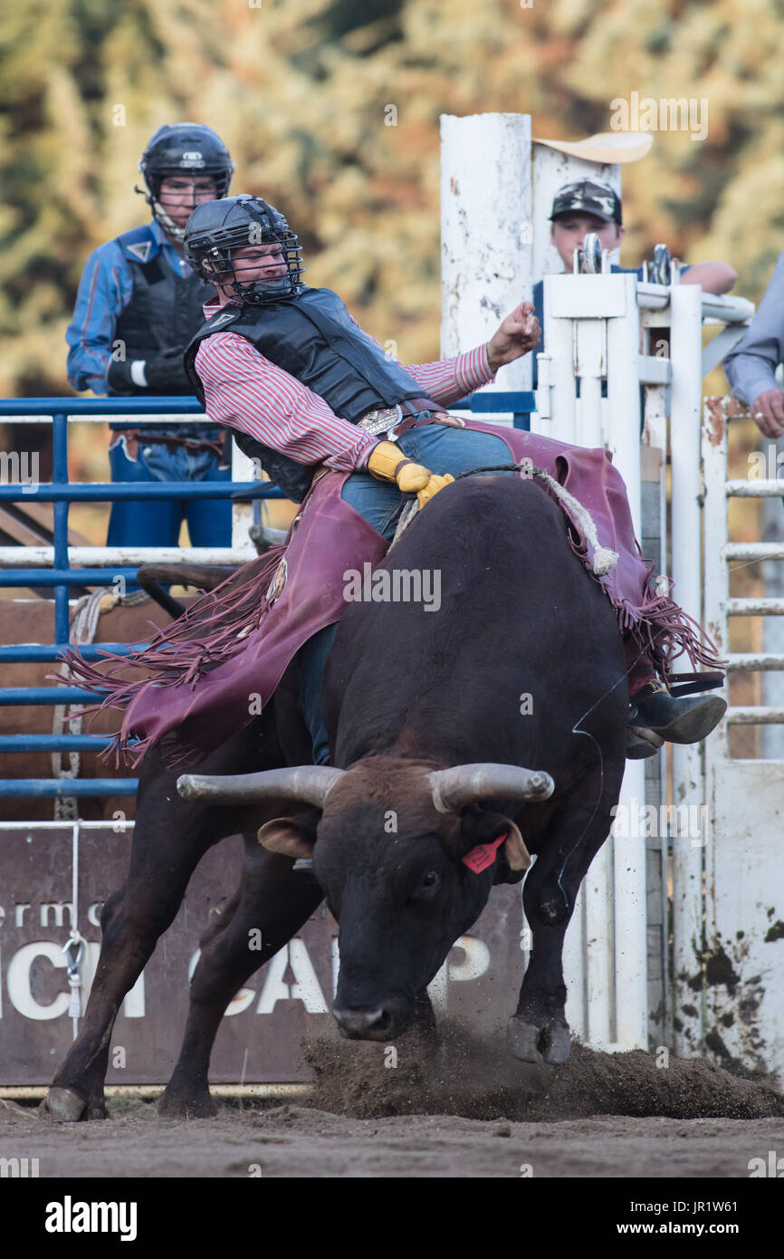 Rodeo action at the Scott Valley Pleasure Park Rodeo in Etna ...
