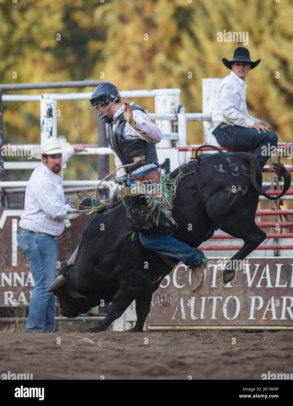 Rodeo action at the Scott Valley Pleasure Park Rodeo in Etna ...