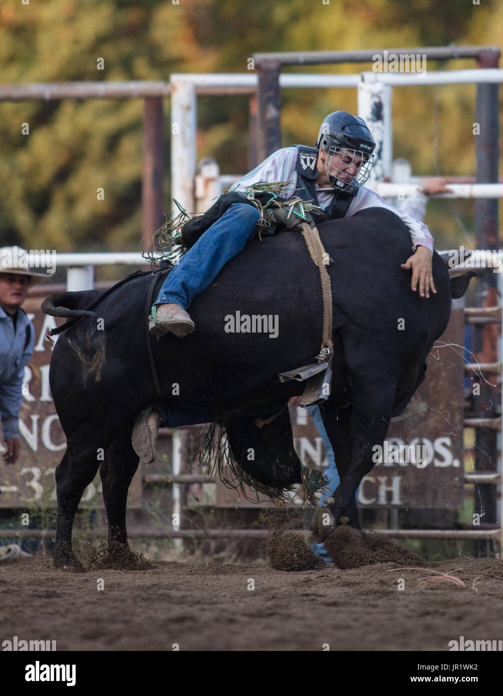 Rodeo action at the Scott Valley Pleasure Park Rodeo in Etna ...