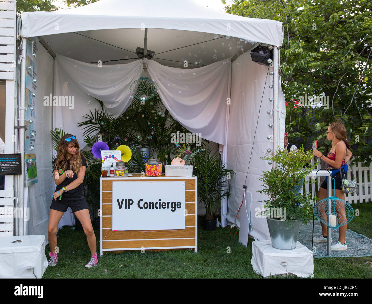 the VIP Concierge tent at Panorama Music Festival In New York City ...