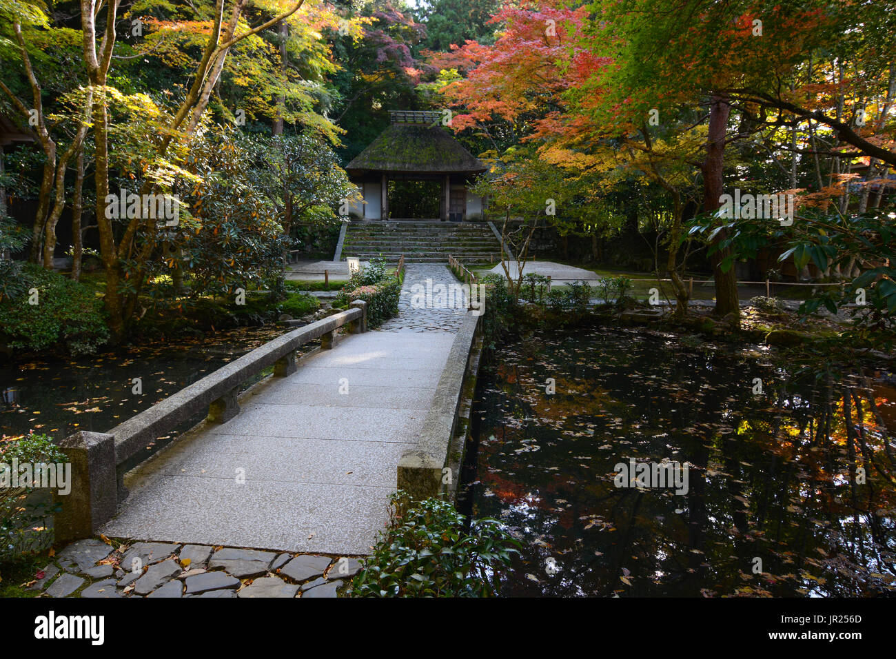 Bridge small pond garden hi-res stock photography and images - Alamy