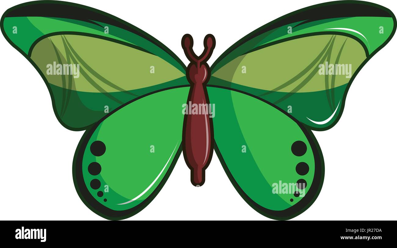 Tropical swallowtail butterfly papilio Stock Vector Images - Alamy