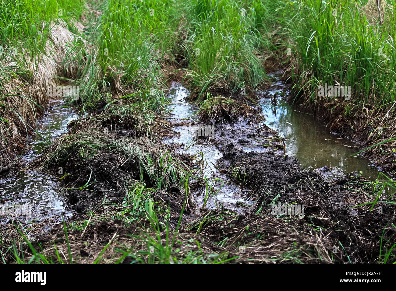 Mud pit hi-res stock photography and images - Alamy