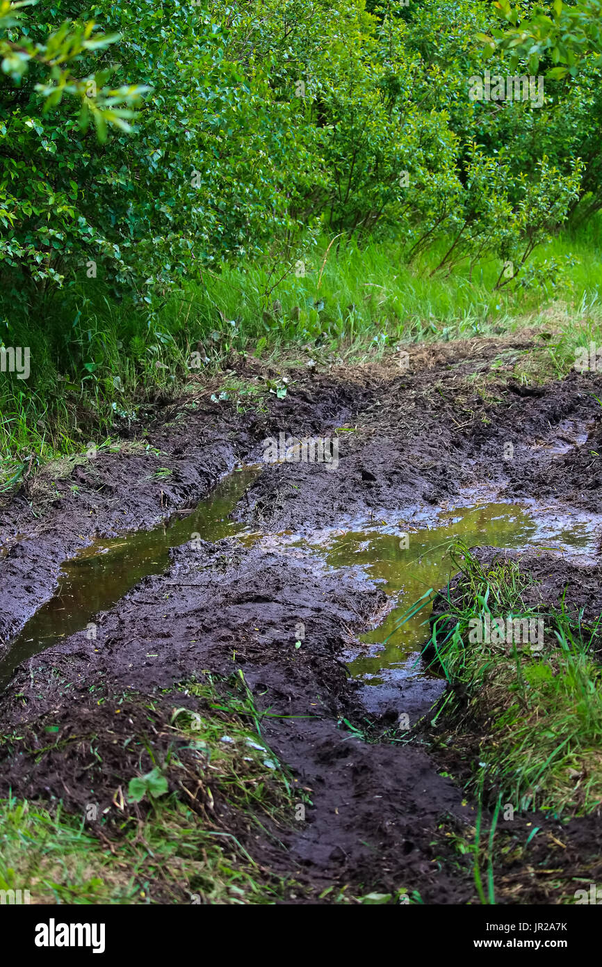 Stuck in muddy puddle hi-res stock photography and images - Alamy