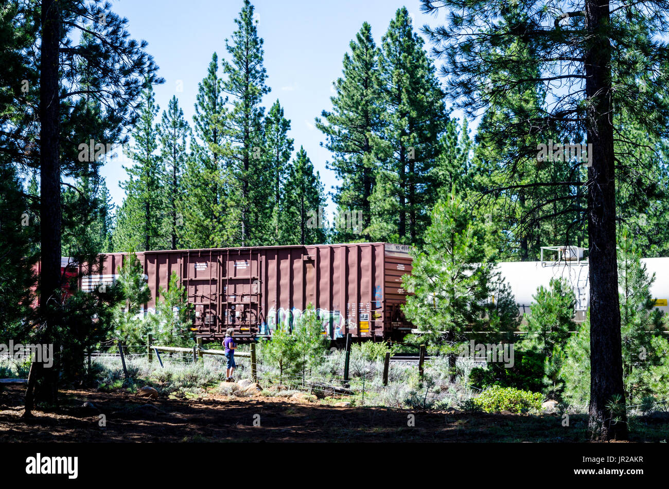 Train spotters camping next to the railroad tracks in north eastern ...