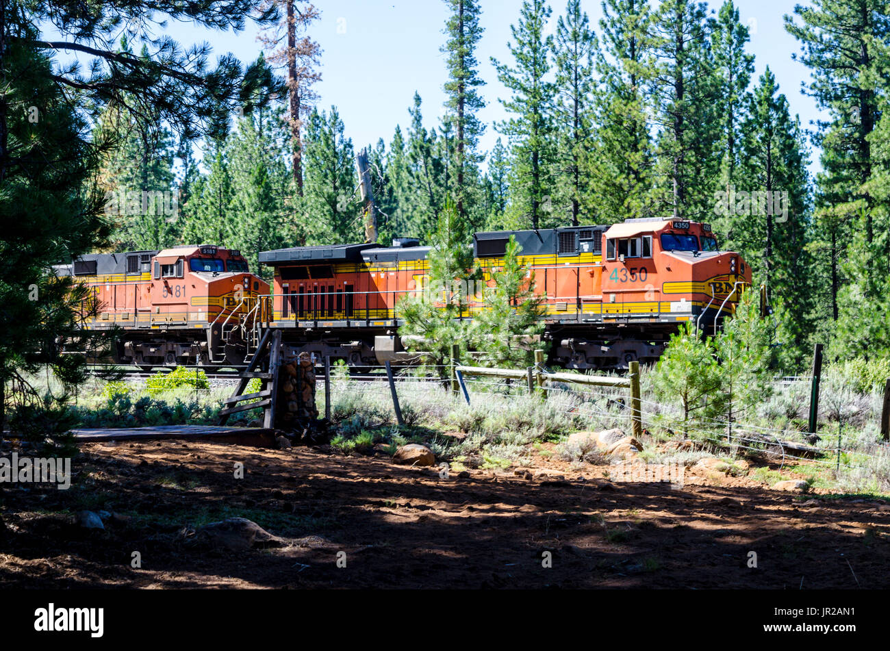 Train spotters camping next to the railroad tracks in north eastern ...